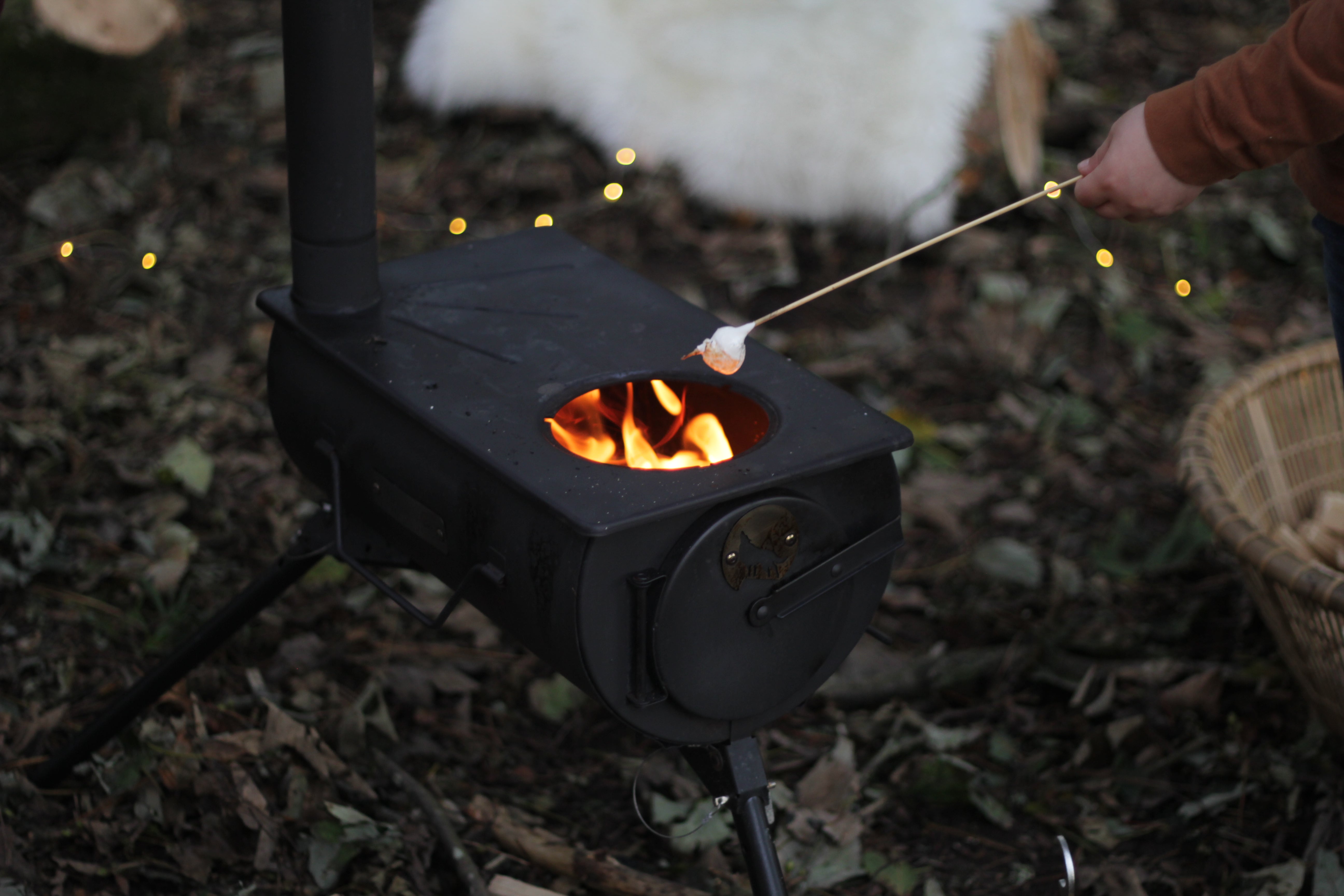 Lighting a Fire in Your Frontier Stove - Anevay Stoves